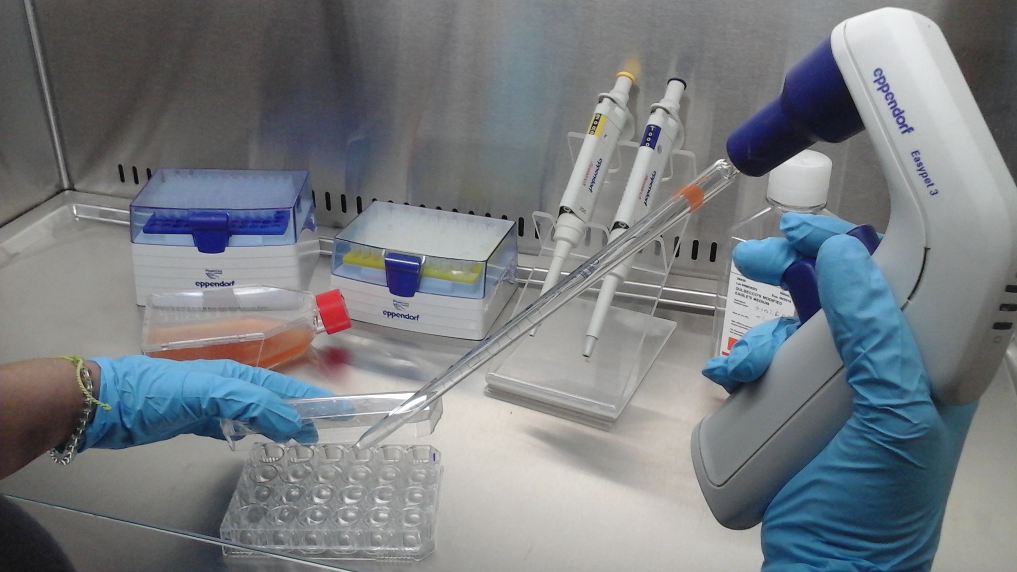 Biomarkers and bioassays – IMBBC